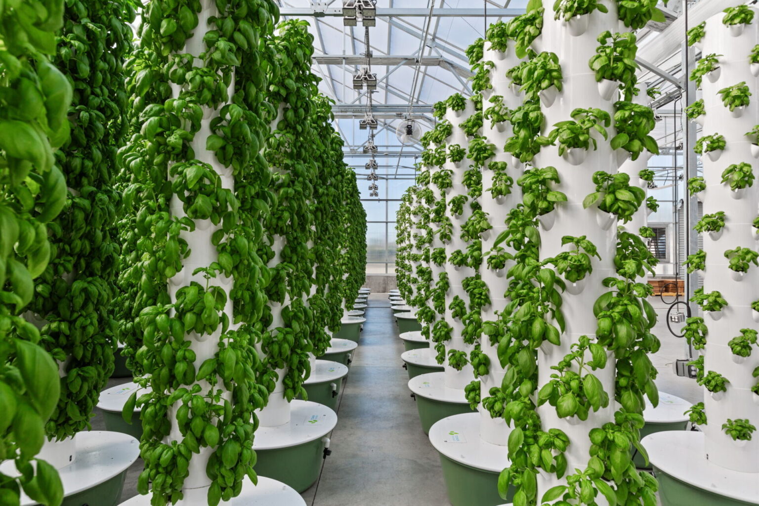 Vested Farms Greenhouse - Russell Group Construction & Development